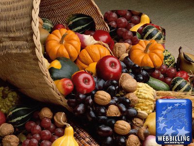 Webbilling Offers 5% Discount | YNOT Europe
